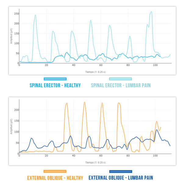 Guide | Evaluating Muscle Synergies | Lateral Trunk Rotation