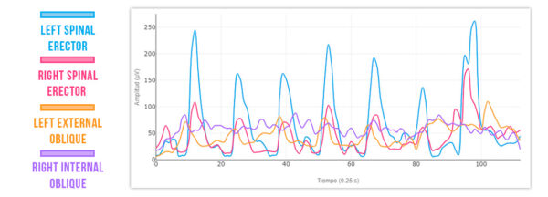 Guide | Evaluating Muscle Synergies | Lateral Trunk Rotation