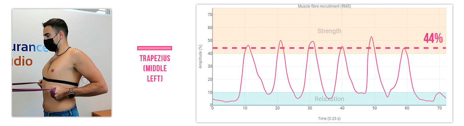 5 Exercises That ACTUALLY Strengthen the Middle Trapezius
