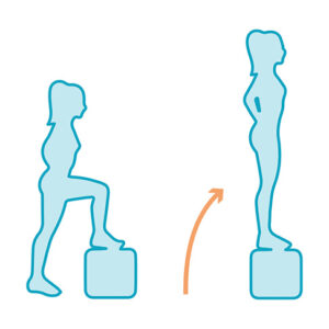 10 exercices pour hypertrophier le grand fessier | EMG