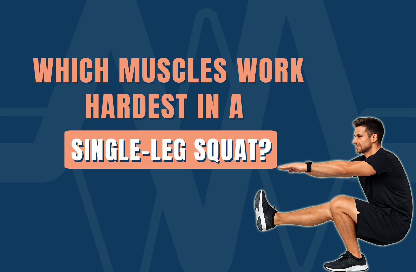 Which muscles work hardest in a single-leg squat?