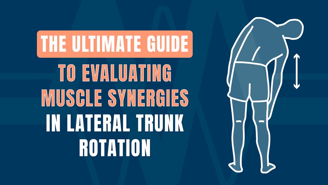 Guide | Evaluating Muscle Synergies | Lateral Trunk Rotation