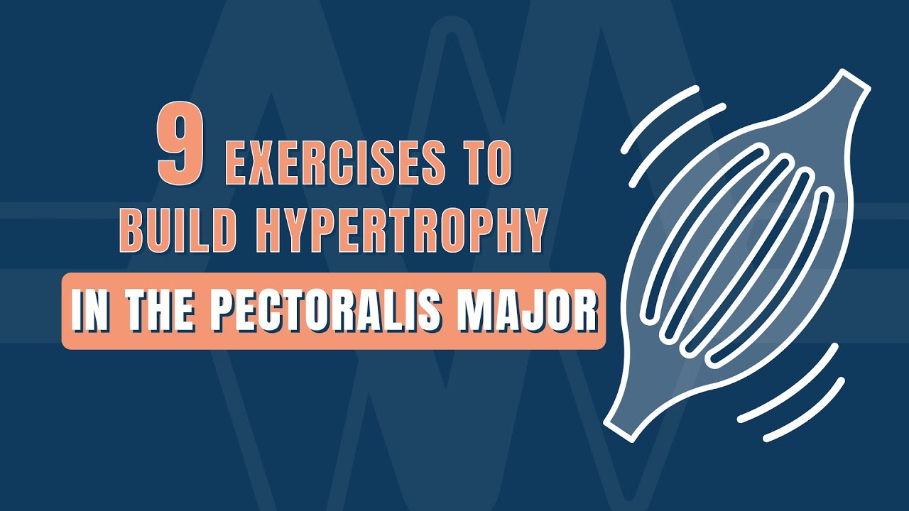 9 Exercises to Maximize Pectoralis Major Hypertrophy