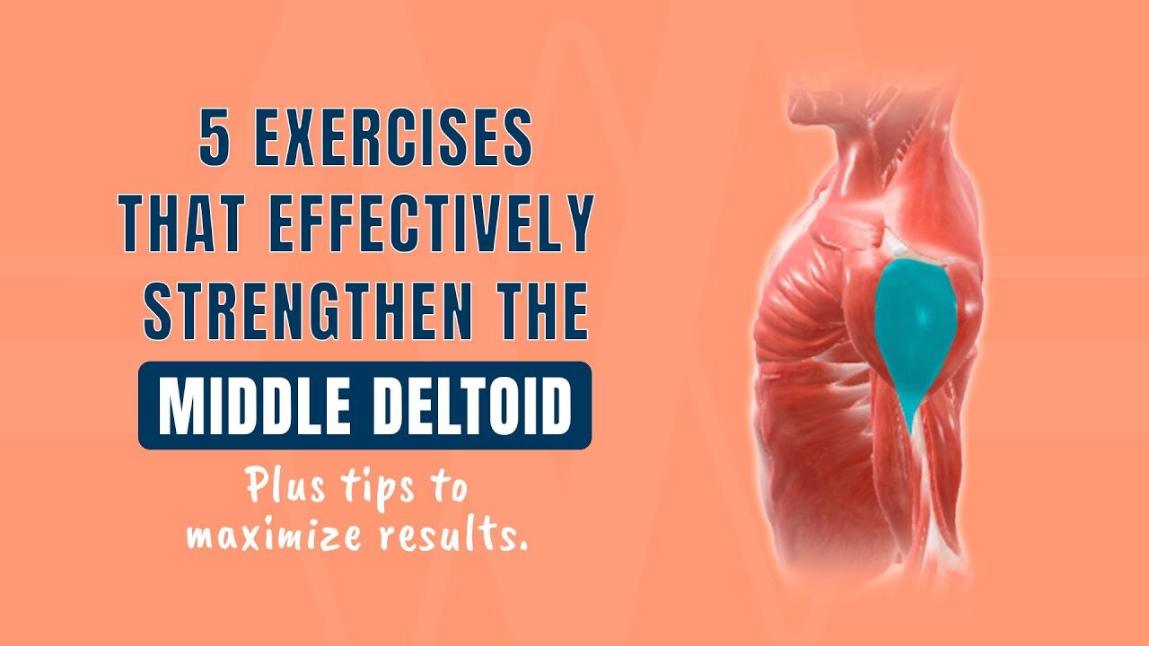 5 Exercises That Effectively Strengthen the Middle Deltoid