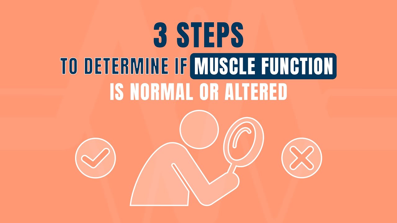 3 Steps to Determine If Muscle Function Is Normal or Altered