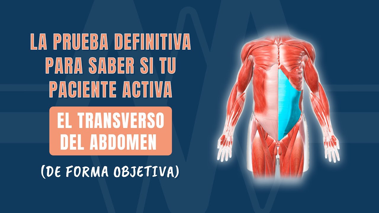 Cómo saber si tu paciente activa el transverso del abdomen