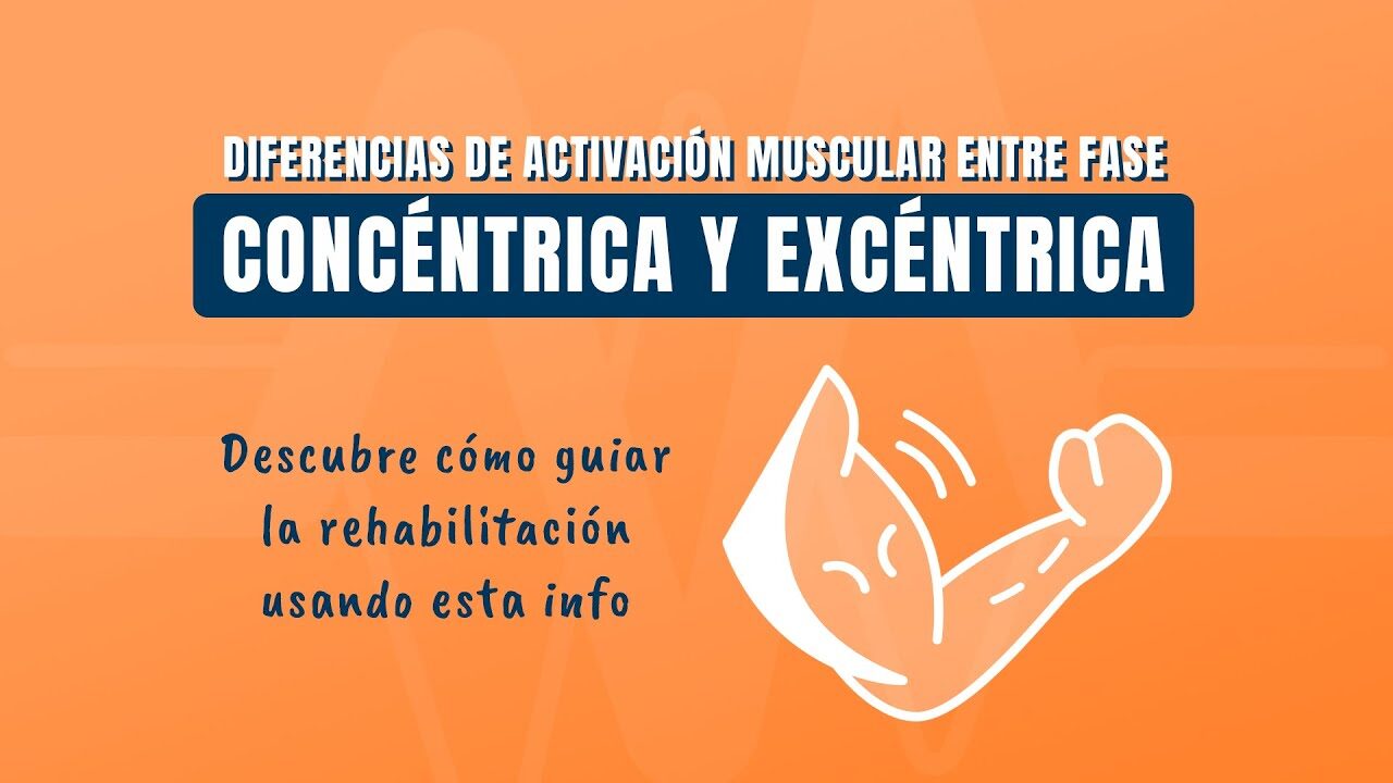 Activación muscular entre fase concéntrica y excéntrica [+VÍDEO]