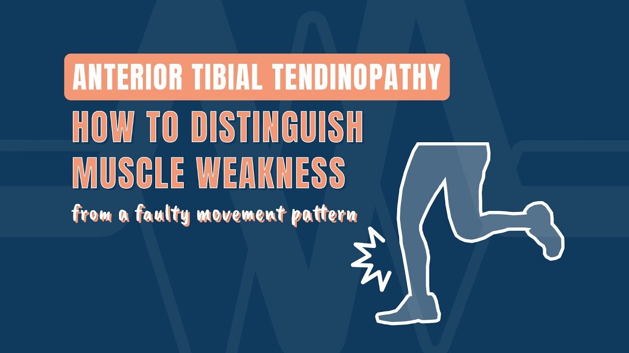 Anterior Tibial Tendinopathy | How to Distinguish Muscle Weakness