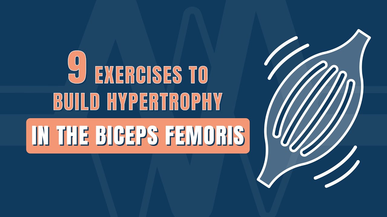 9 Exercises to Build Hypertrophy in the Biceps Femoris